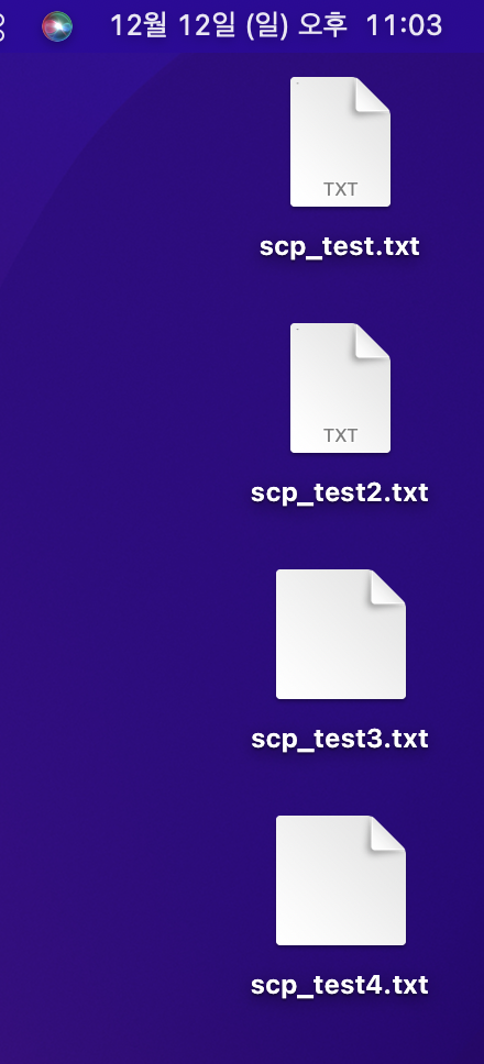 GitHub - DSeung001/Scp-Client: window -> mac 파일 전송