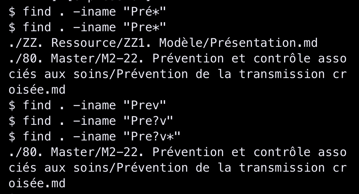 Variable : command not found · Issue #310 · holzschu/a-shell · GitHub