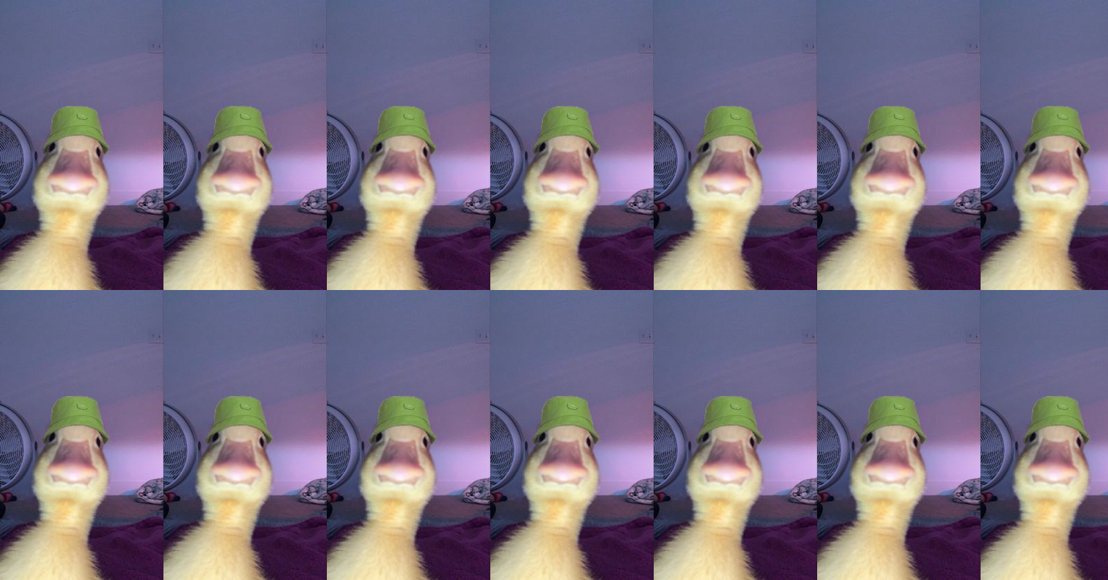 GitHub - kampanosg/smart-duck-farm: Smart $DUCKs that lay $EGG in the Pondchain :duck: