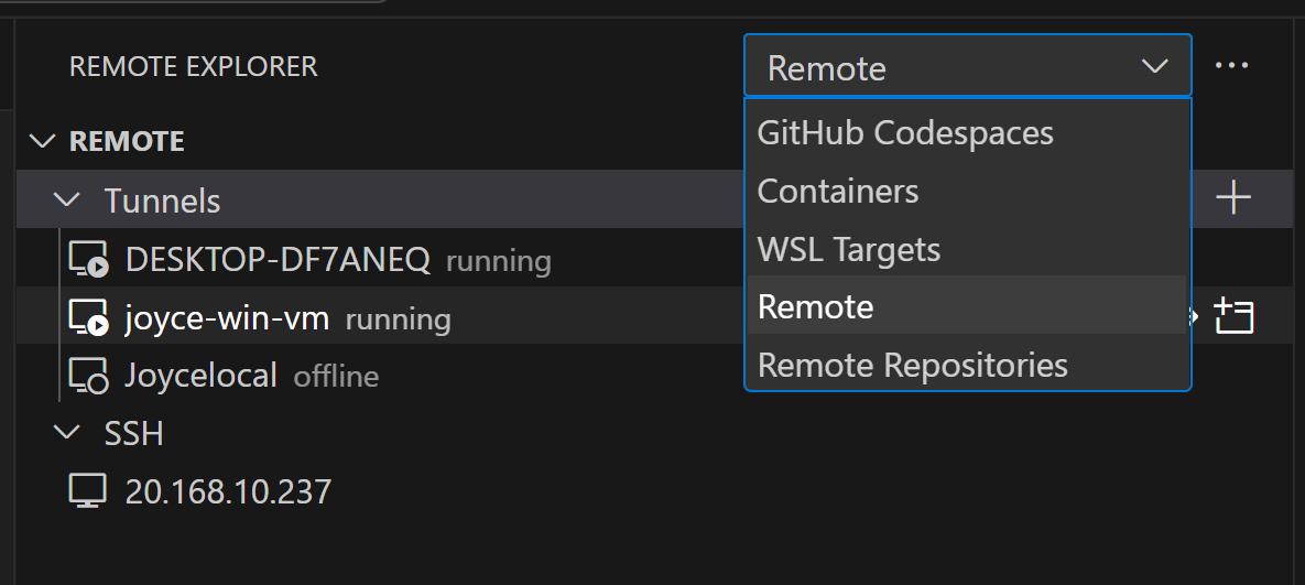 Can we please rename the `Remote` category in the Remote Explorer ...