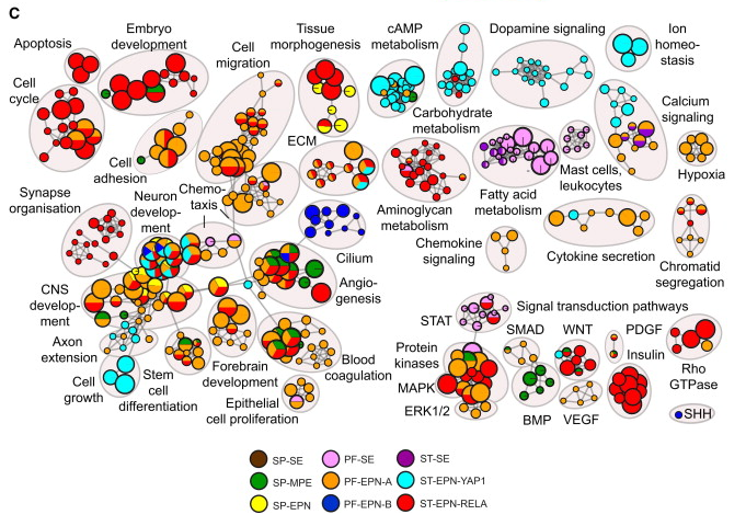 generic/gprofiler command not recognizing gmt file · Issue #271 · BaderLab/EnrichmentMapApp · GitHub
