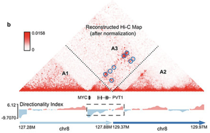 Intrachromosomal triangle plots? · Issue #83 · PhanstielLab/plotgardener · GitHub