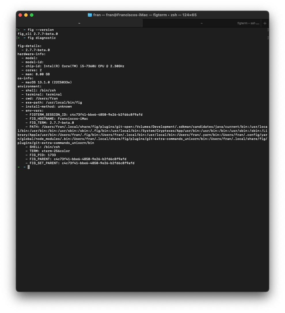 bug: `${FIGTERM_SESSION_ID}` has no value · Issue #1999 · withfig/fig · GitHub