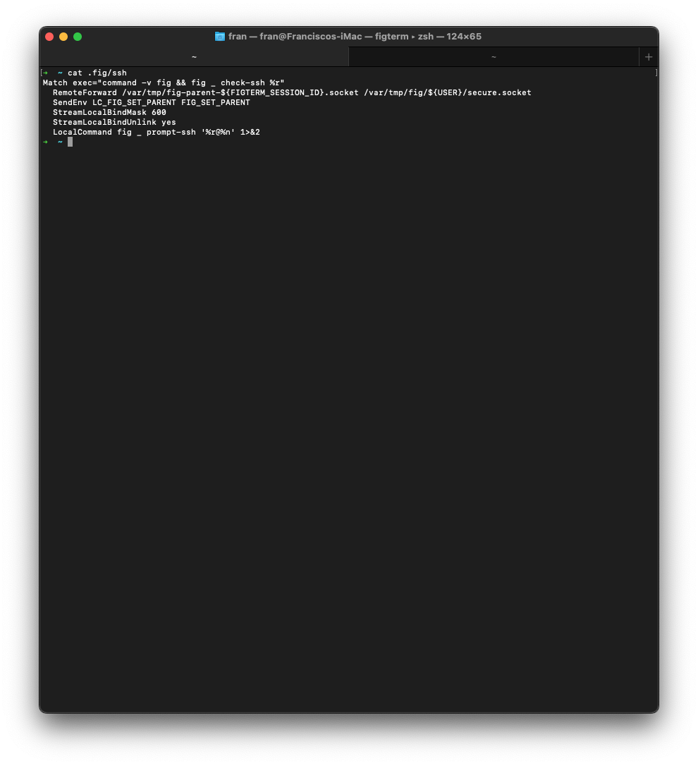 bug: `${FIGTERM_SESSION_ID}` has no value · Issue #1999 · withfig/fig · GitHub