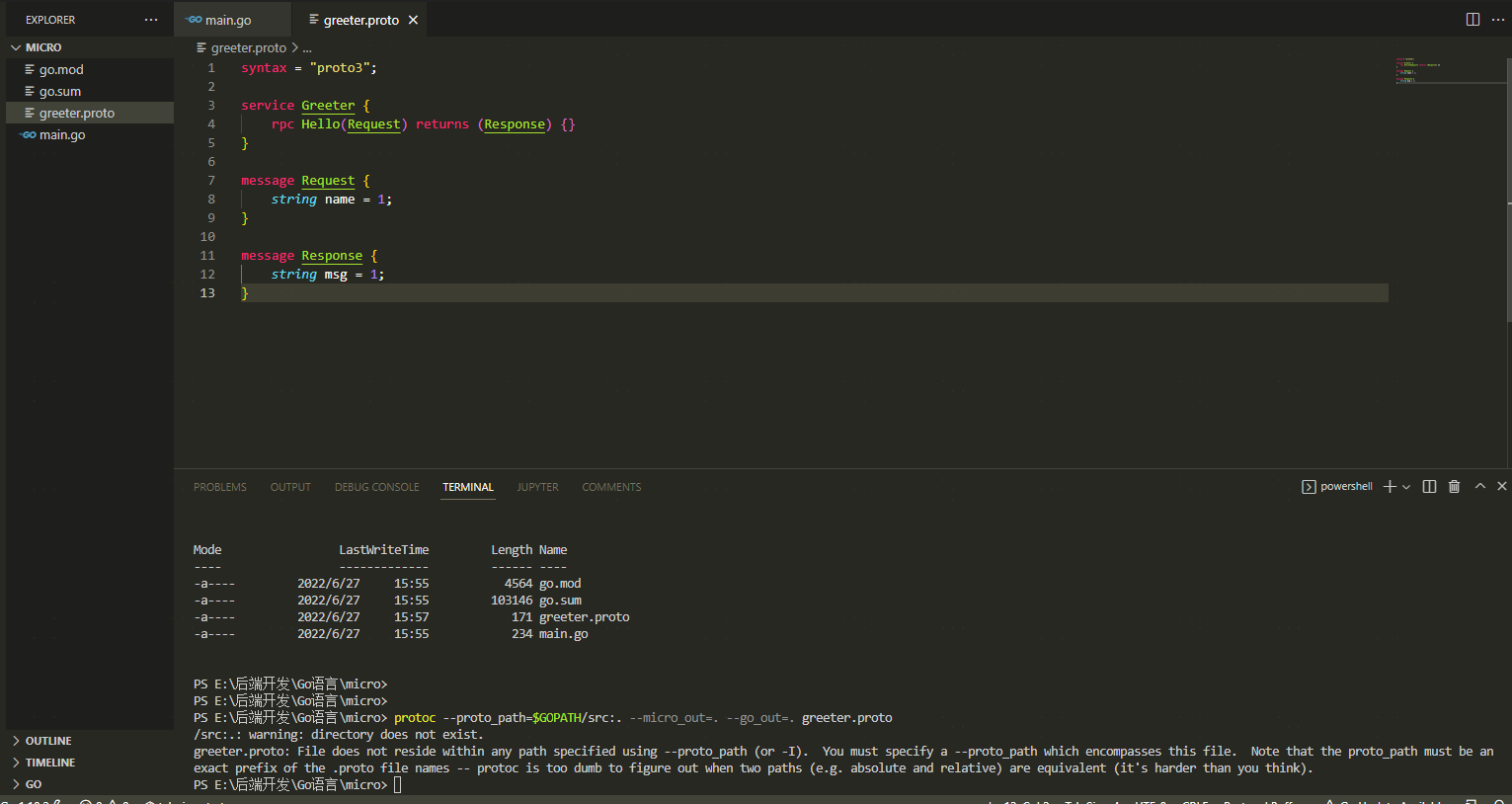 exec the command( protoc --proto_path=$GOPATH/src:. --micro_out=. --go_out=. greeter.proto ...