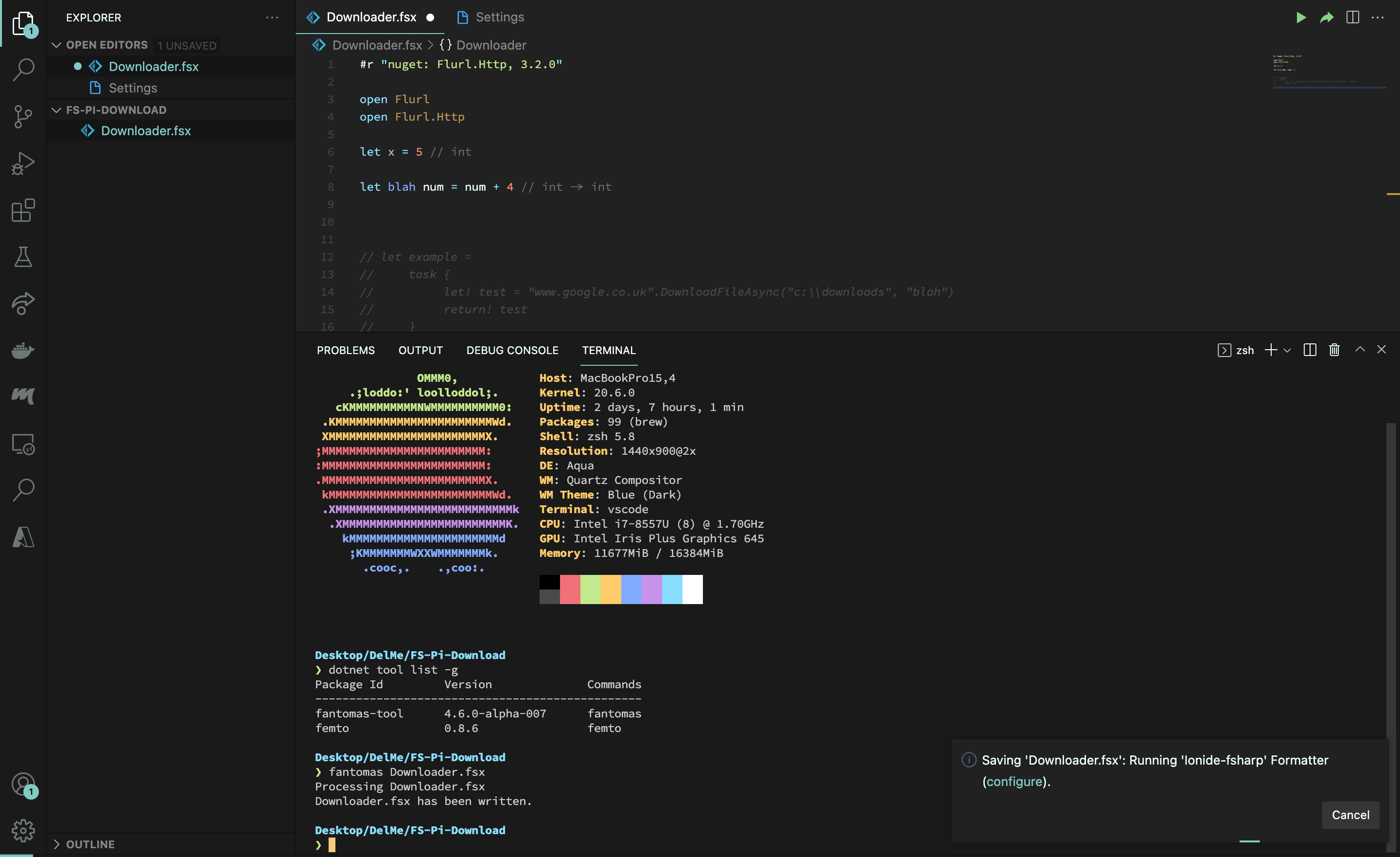Format on save hangs and never saves file. · Issue #1628 · ionide/ionide-vscode-fsharp · GitHub