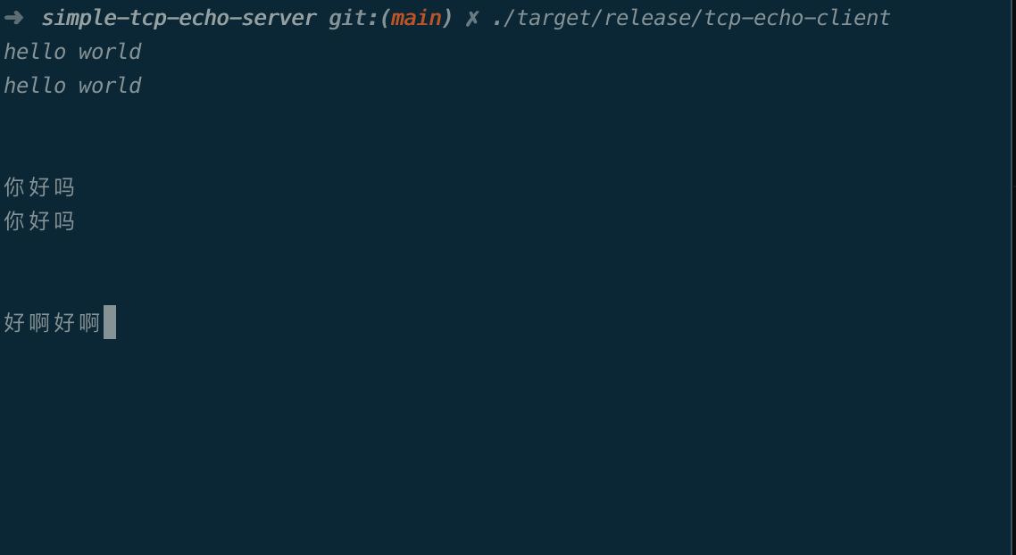 Github Songhaoxinsimple Tcp Echo Server A Simple Tcp Echo Server Writted In Rust For The 0735