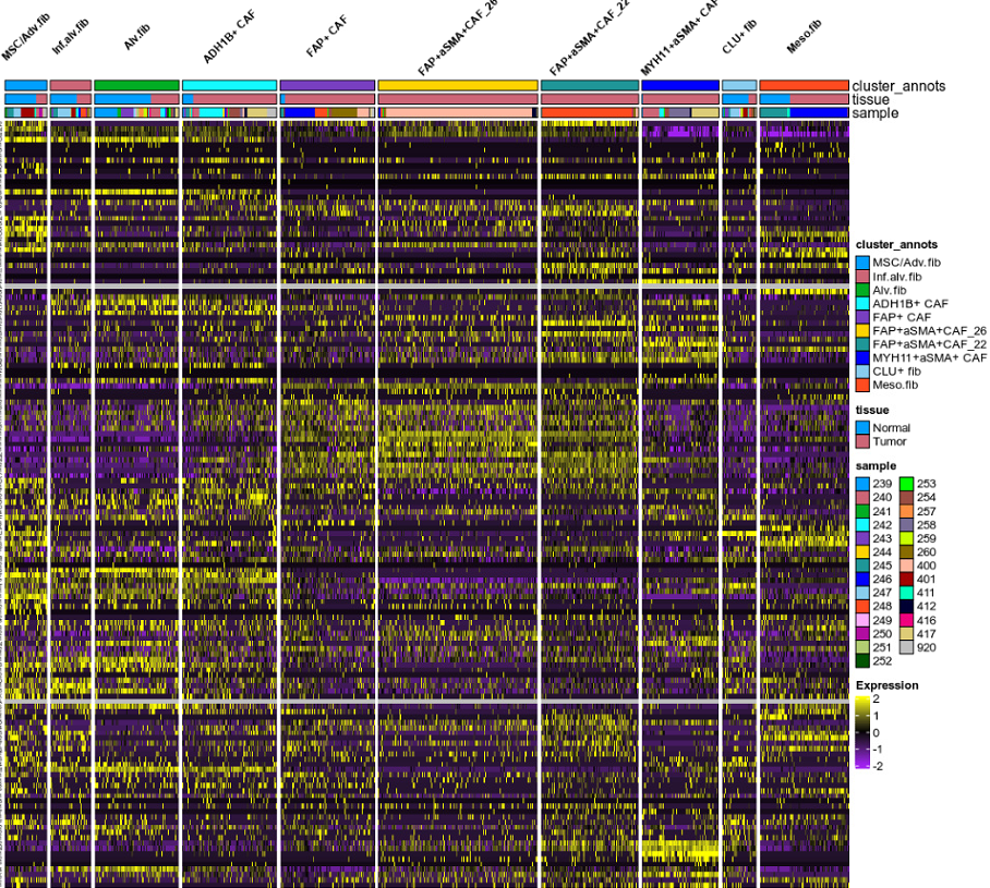 Adjust top annotation position · Issue #927 · jokergoo/ComplexHeatmap ...