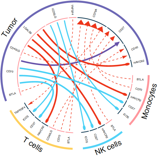 Cellphonedb Plot