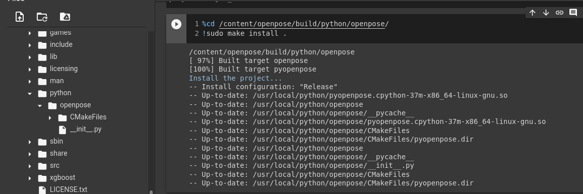 Could Not Import From Openpose Import Pyopenpose As Op · Issue 1979 · Cmu Perceptual
