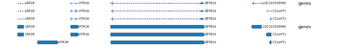 cannot plot track of bed12 genes with intron · Issue #99 · deeptools ...