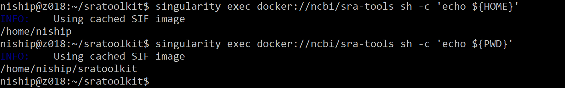Installation has not been configured error with singularity and docker image · Issue #554 · ncbi ...