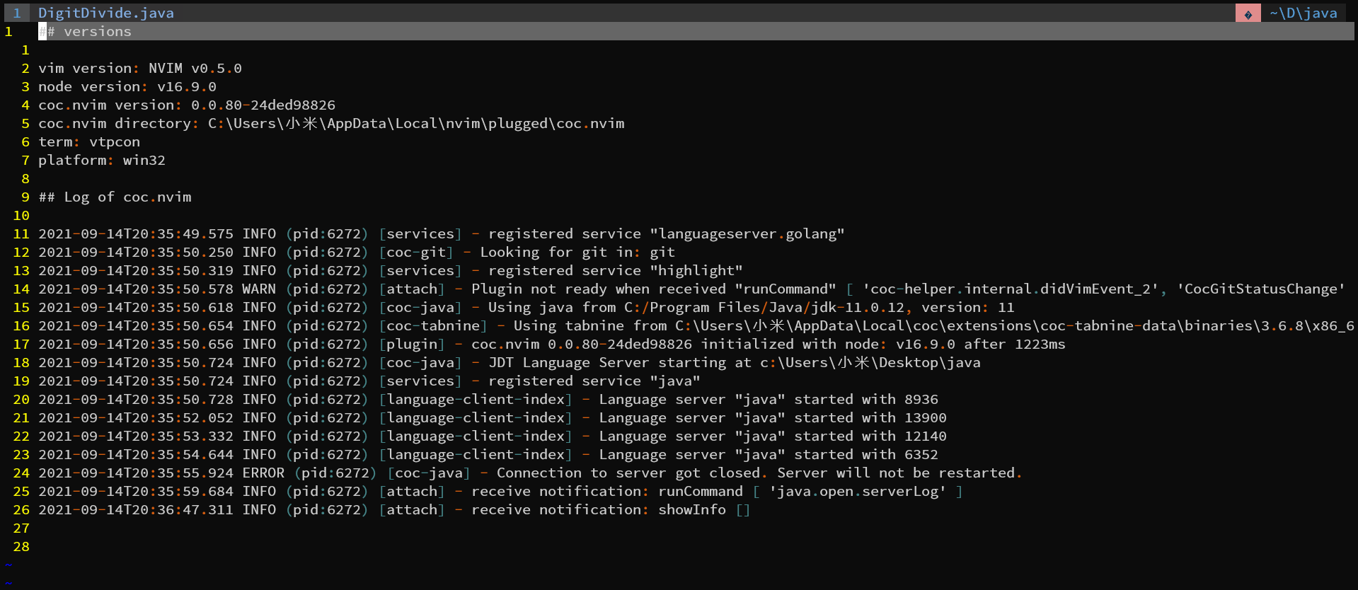 Can't start server!!! · Issue #175 · neoclide/coc-java · GitHub