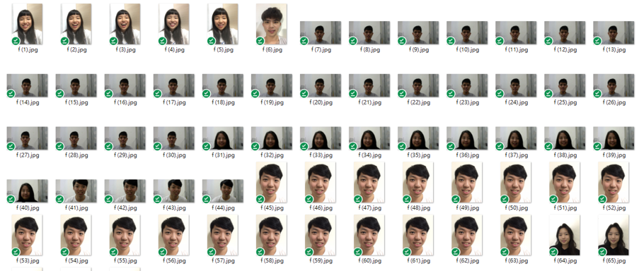 GitHub - fusayyun/Emotion-Detection-Model