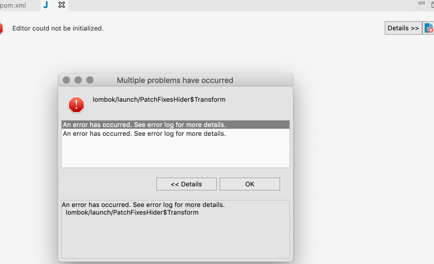 [BUG] java.lang.NoClassDefFoundError: lombok/launch/PatchFixesHider ...