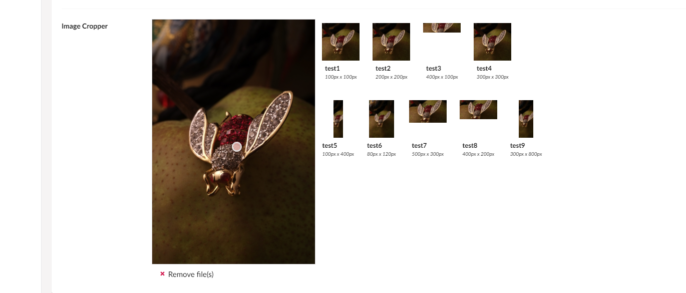 Umbraco style changes (image cropper, form answer types) · Issue #10876 · umbraco/Umbraco-CMS ...