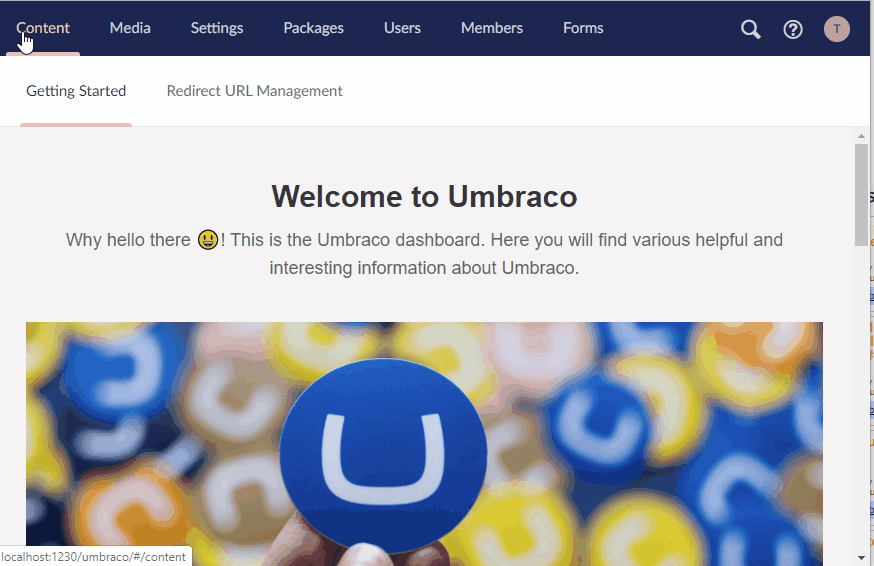 v8: Can't delete host in Culture and Hostnames · Issue #6279 · umbraco/Umbraco-CMS · GitHub