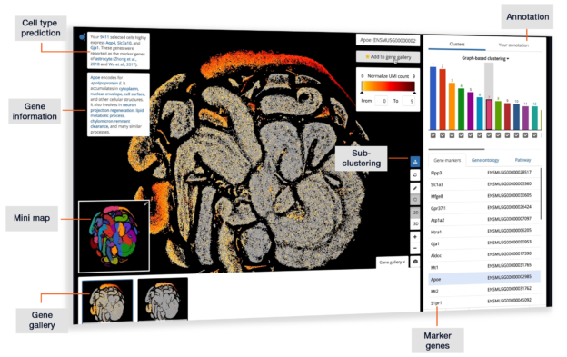 BioTuring Single Cell Browser · Issue #217 · HumanCellAtlas/data-portal-content · GitHub
