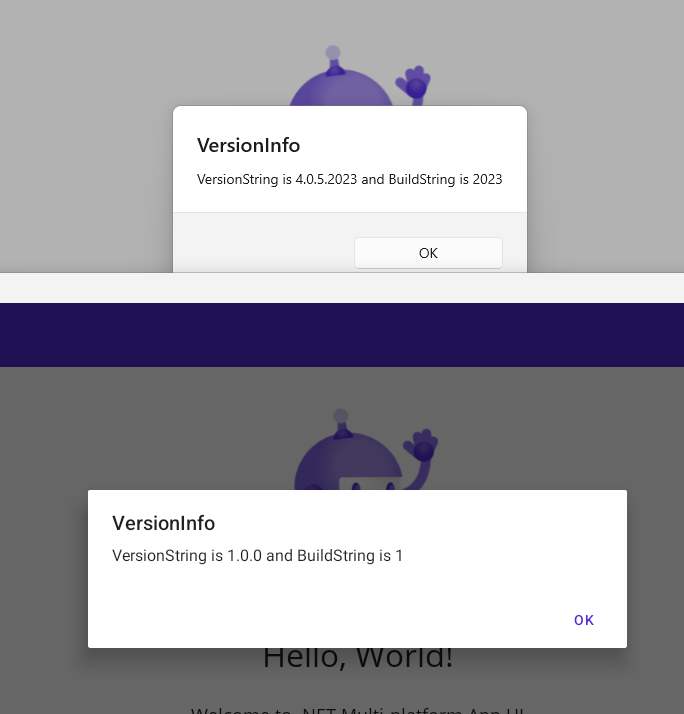 AppInfo.VersionString and AppInfo.BuildString incorrect when ApplicationDisplayVersion and ...