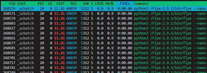 Polishing time · Issue #570 · mikolmogorov/Flye · GitHub