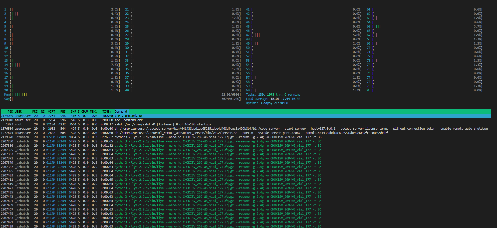 Polishing time · Issue #570 · mikolmogorov/Flye · GitHub