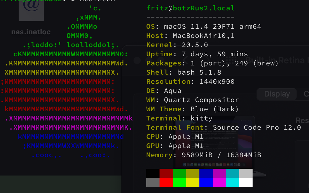 neofetch doesn't report the correct display resolution · Issue #1589 · dylanaraps/neofetch · GitHub