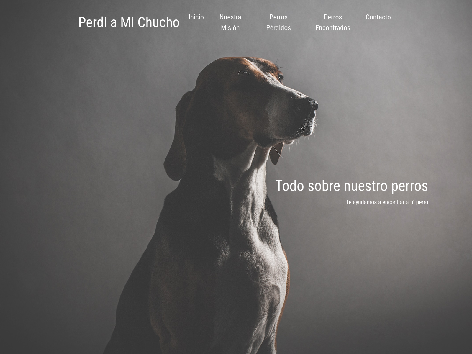 GitHub - guillerey/dogpage: Lost Dogs