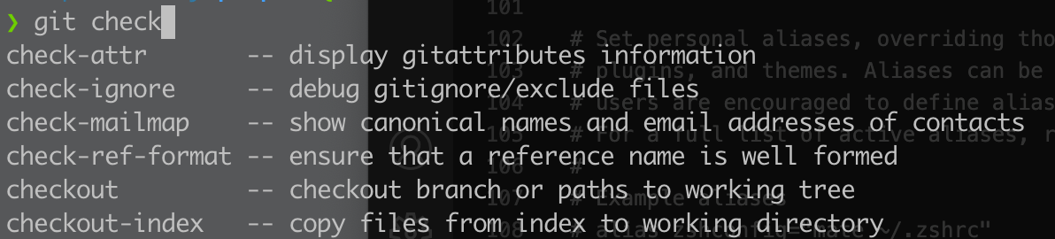 RFC: Add option to disable ohmyzsh aliases · Issue #10644 · ohmyzsh/ohmyzsh · GitHub