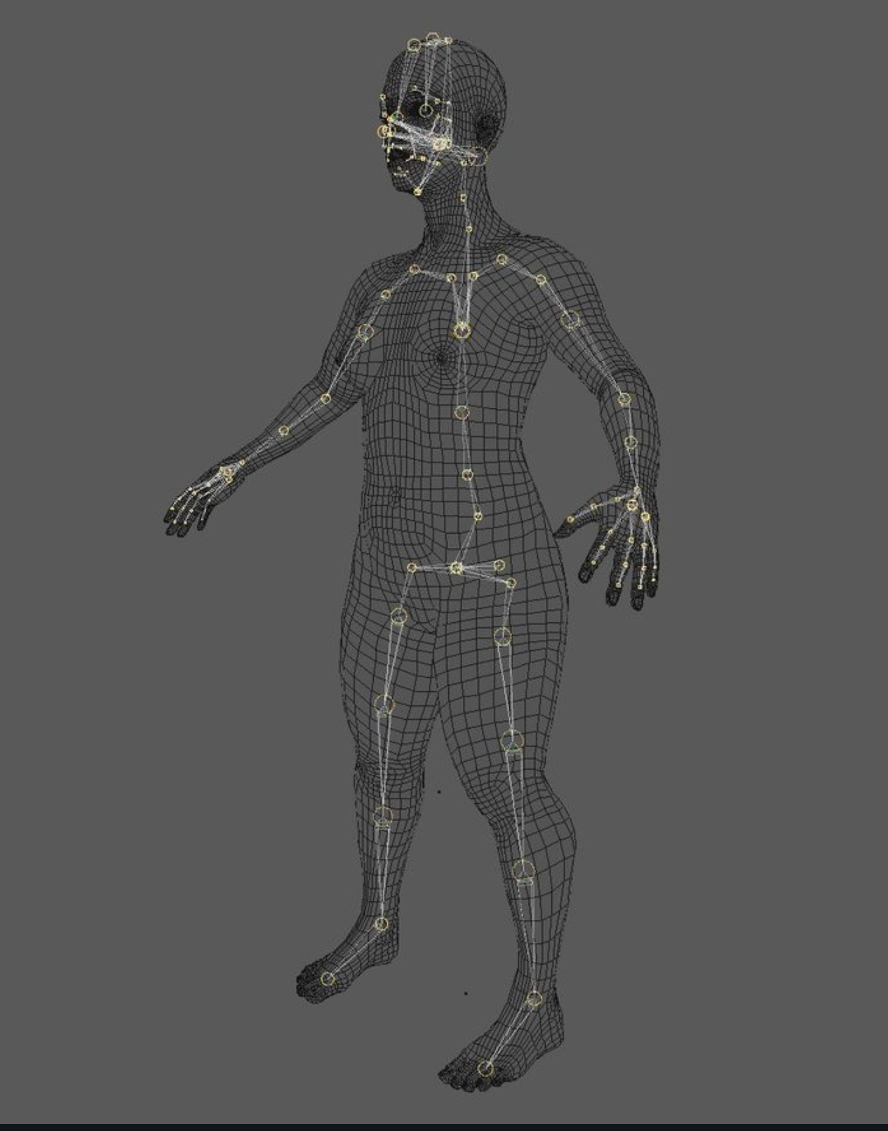 Rigged model · Issue #90 · vchoutas/smplify-x · GitHub