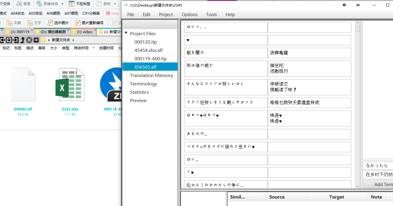 想询问下术语 和翻译记忆的正确用法 · Issue #379 · xulihang/ImageTrans-docs · GitHub