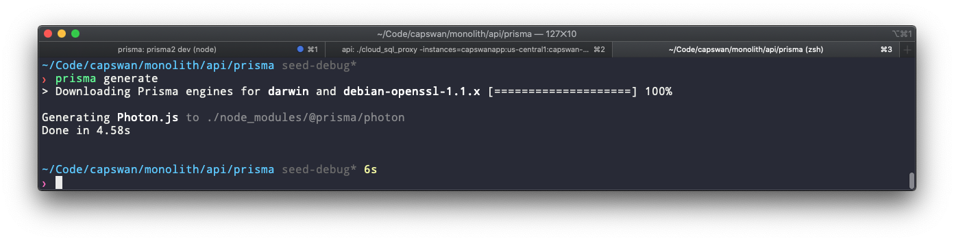 `postinstall` script of this package fails if using env var in my schema · Issue #326 · prisma ...