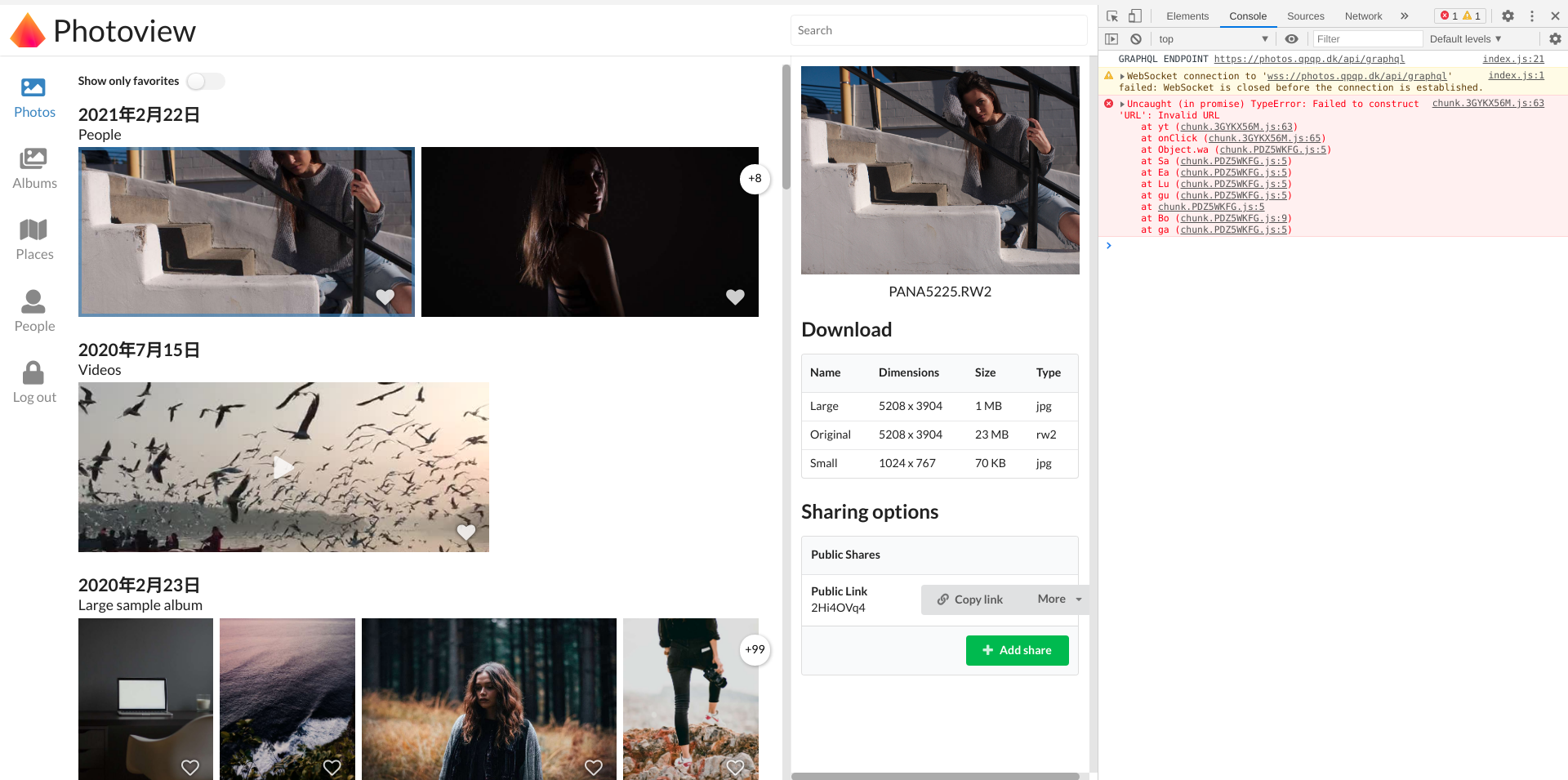 Bug: Error when trying to download photo · Issue #238 · photoview/photoview · GitHub