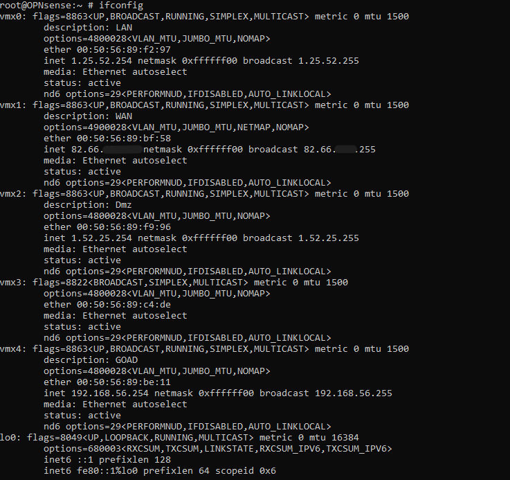 Wan Get Dchp Lease From Lan Network · Issue 6240 · Opnsense Core · Github
