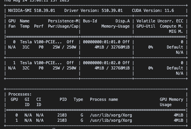 Cannot Run In Docker · Issue 908 · Huggingface Text Generation Inference · Github
