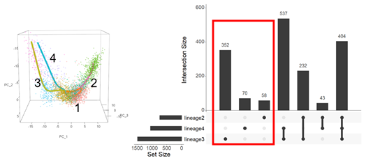 Why DE genes for a specific lineage show similar pattern on heatmaps for other lineages? · Issue ...