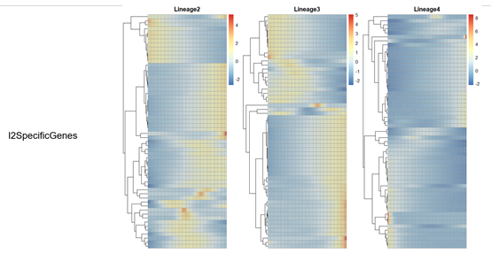 Why DE genes for a specific lineage show similar pattern on heatmaps ...