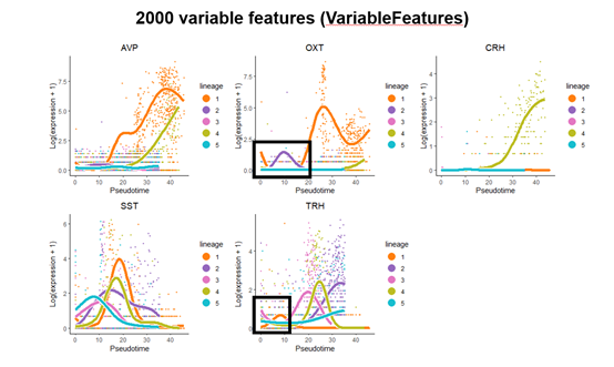 fitGAM with different gene sets got different results of fitting curves for the same genes ...