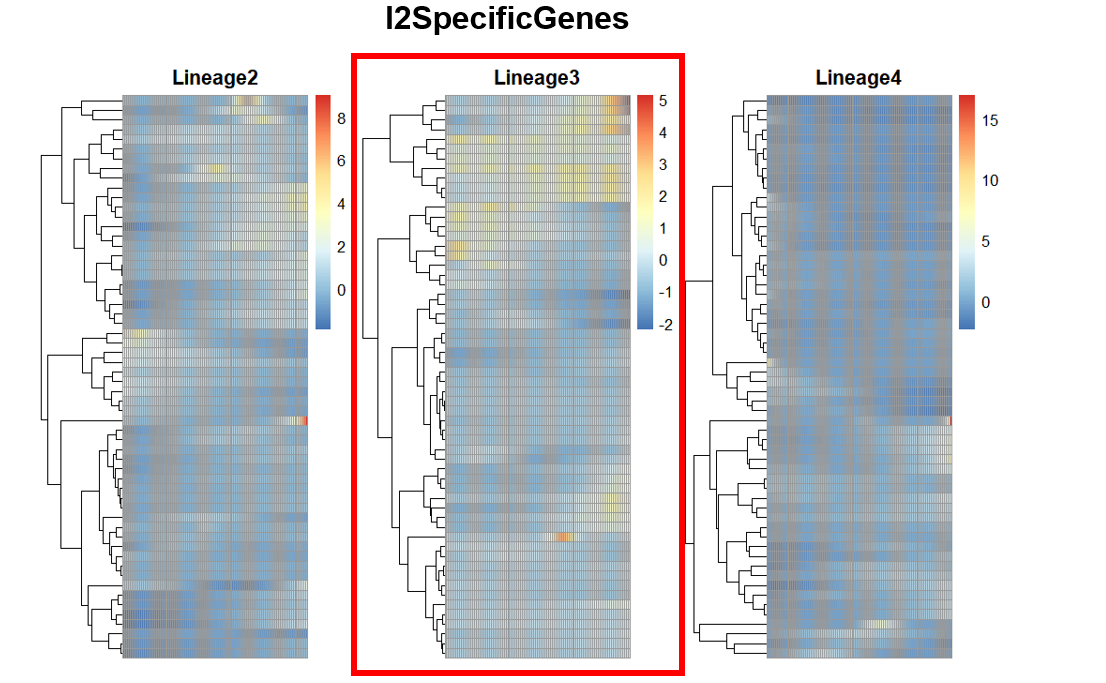 Why DE genes for a specific lineage show similar pattern on heatmaps ...