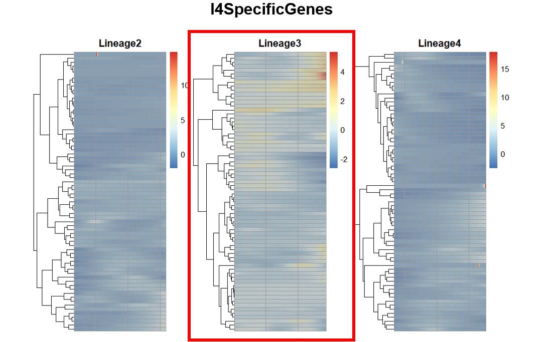 Why DE genes for a specific lineage show similar pattern on heatmaps ...