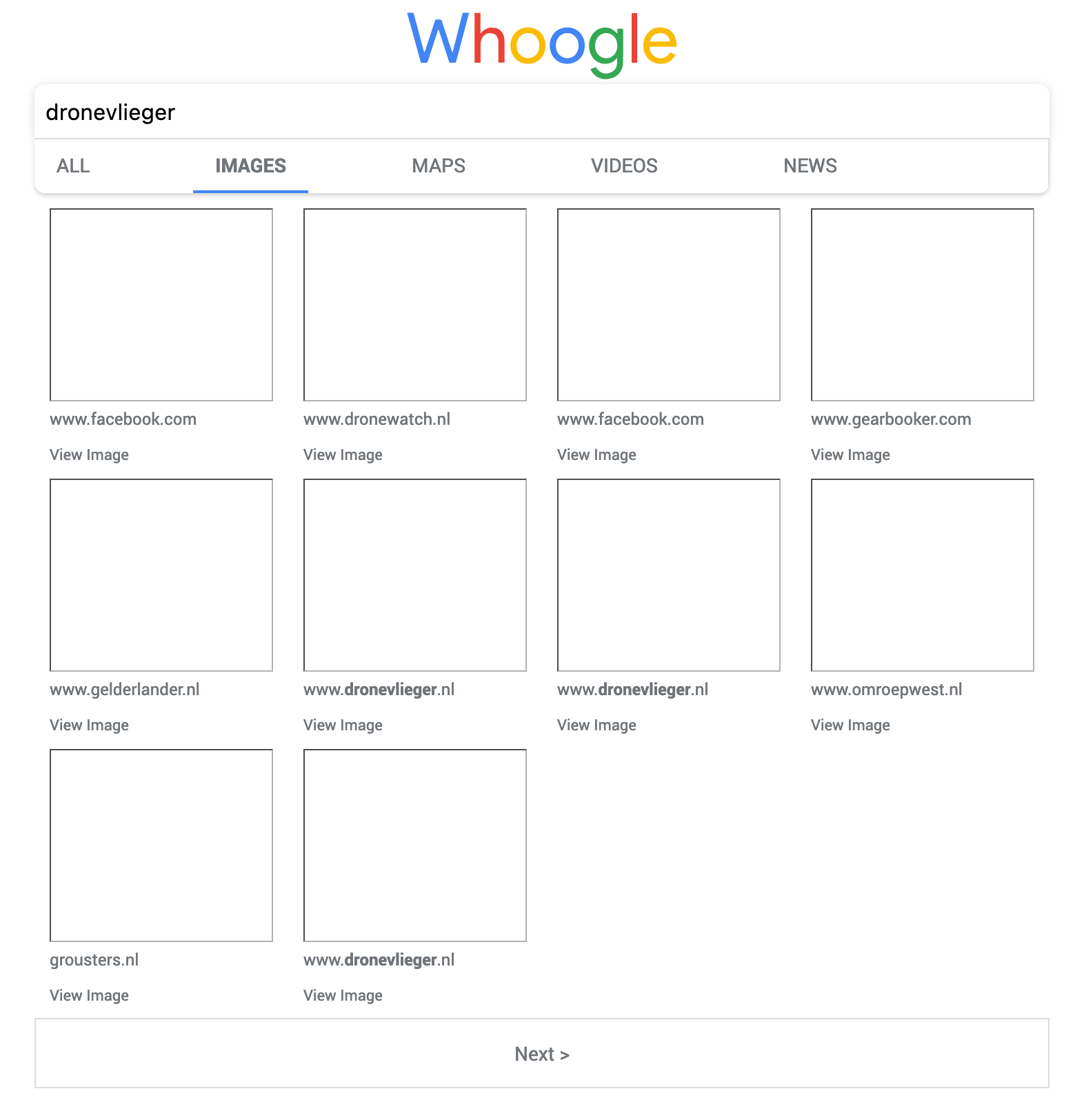 🐛 [Whoogle] image not being displayed because of an ingress error ...