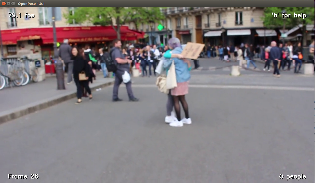 0 People Detected · Issue 181 · Cmu Perceptual Computing Lab Openpose · Github