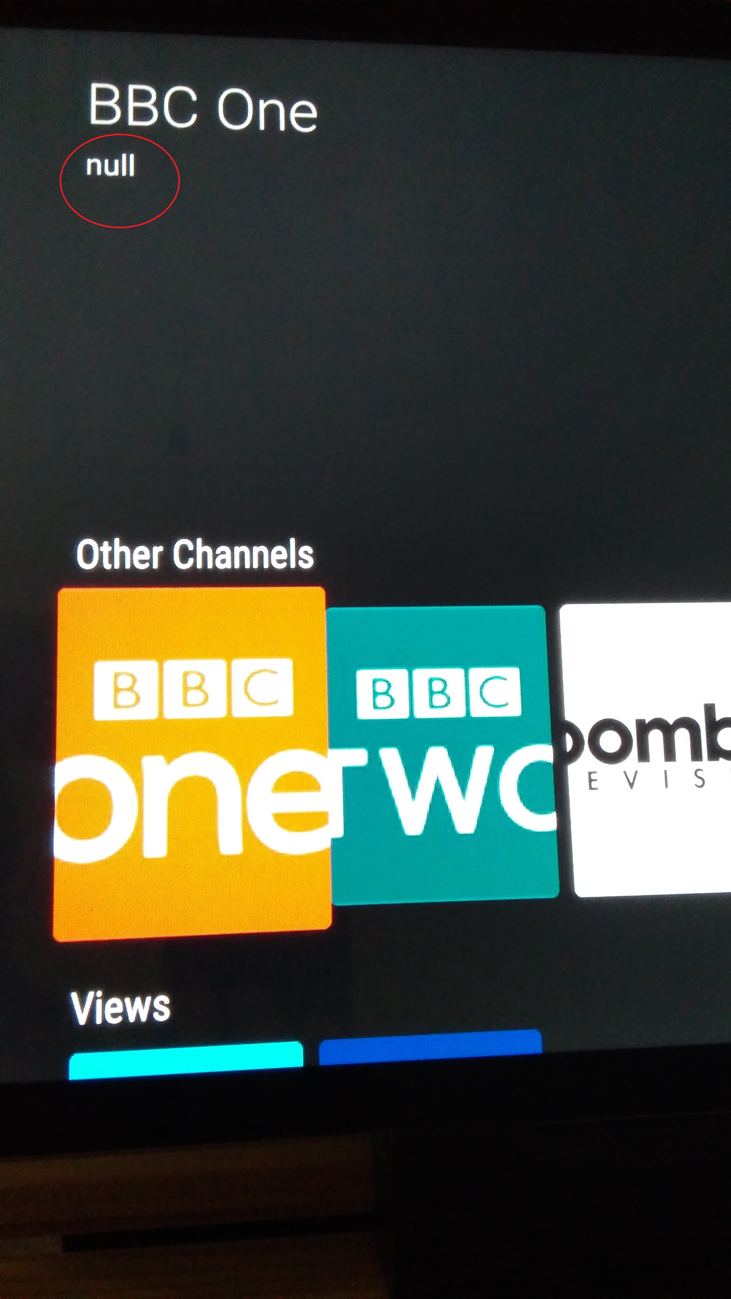 LiveTV - in the 'Other channels' section 'null' word shows up under every channel's name in the ...