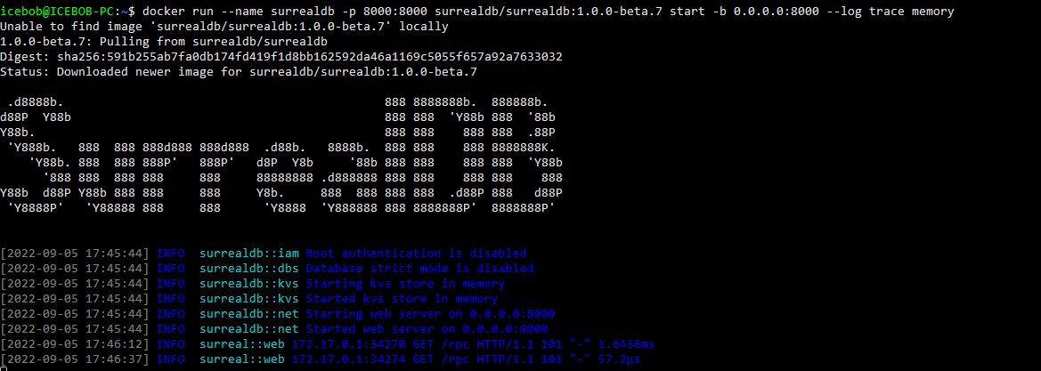 Insufficient documentation · Issue #4 · surrealdb/surrealdb.js · GitHub