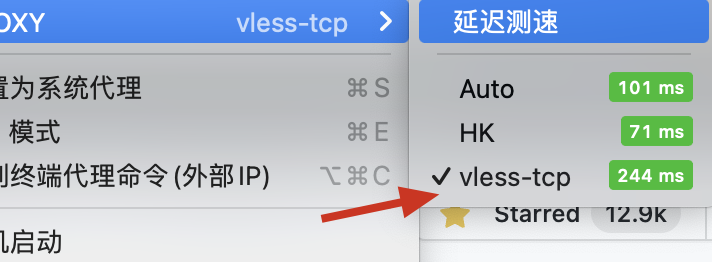 XLTS + Vless 上网正常，但在节点测速时提示，`failed to read request version` · Issue #1892 · XTLS/Xray-core · GitHub