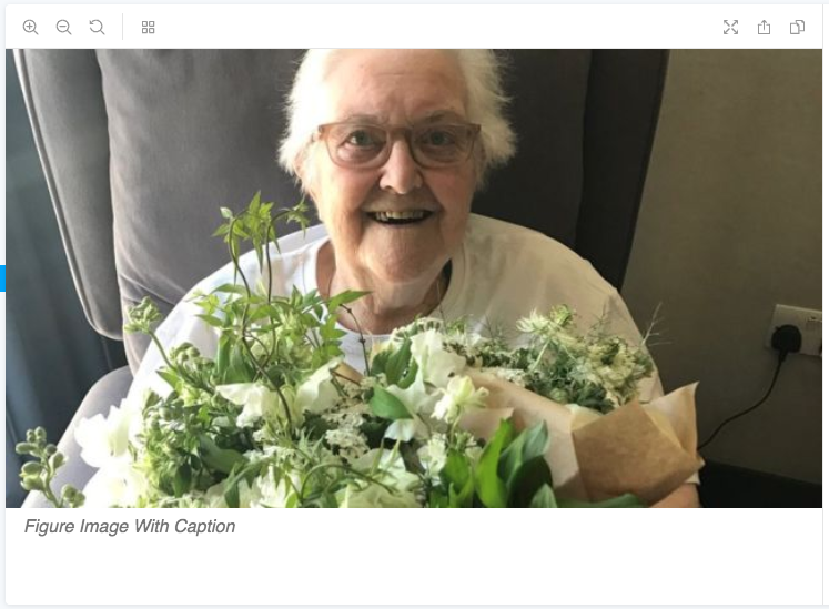 Image and video captions are not displaying in Reith · Issue #2207 ...