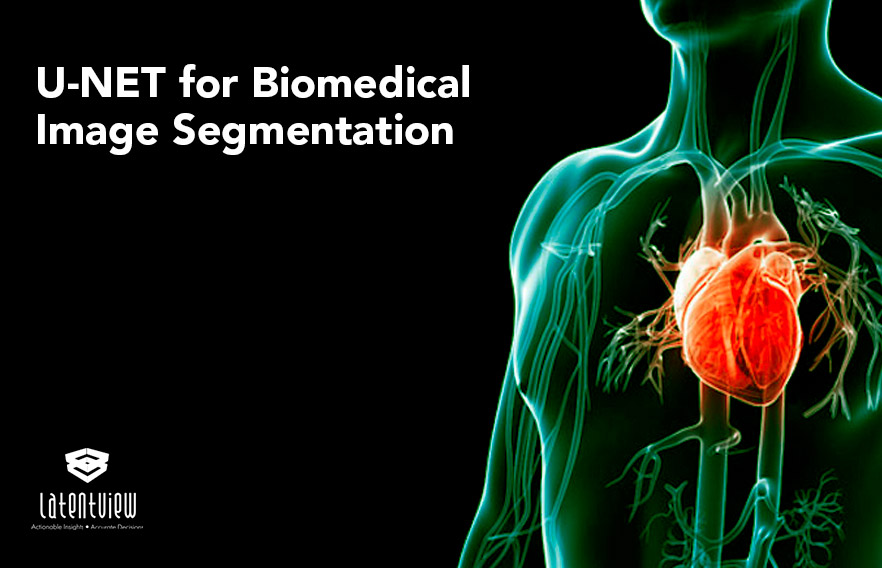 GitHub - cmorris2945/Convolutional-Networks-for-Biomedical-Image ...