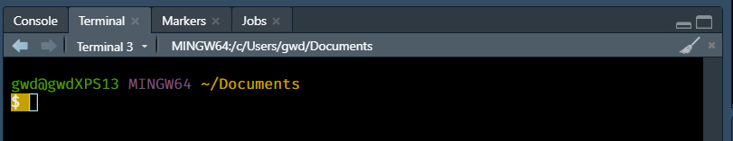 RStudio Terminal colors inverting when using other Terminal than 'cmd ...