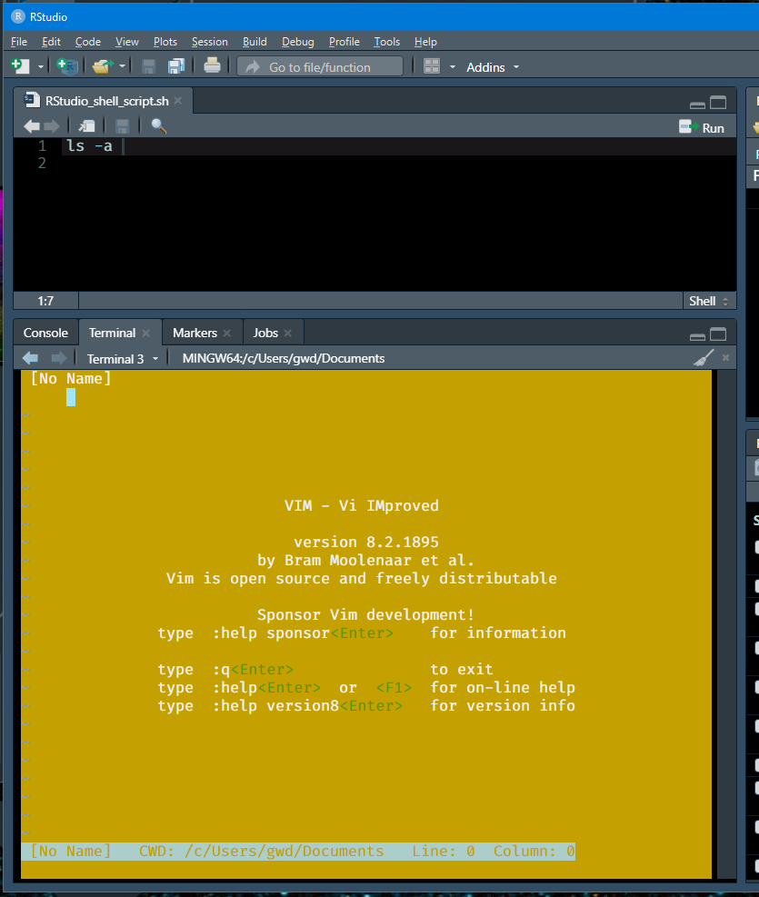 RStudio Terminal colors inverting when using other Terminal than 'cmd ...