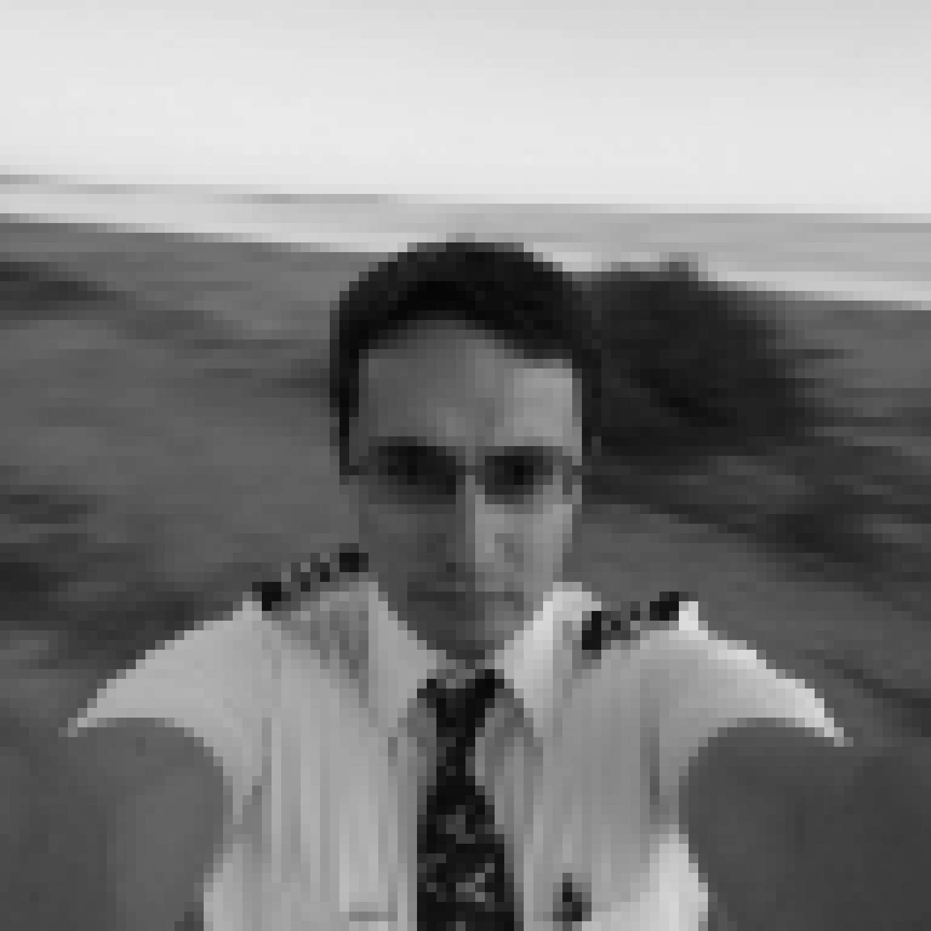 tvm-arduino-demos/examples/person_detection/README.md at master ...