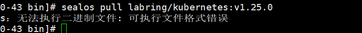 安装 sealos工具无法运行命令， /usr/bin/sealos：无法执行二进制文件: 可执行文件格式错误 · Issue #2531 · labring/sealos · GitHub